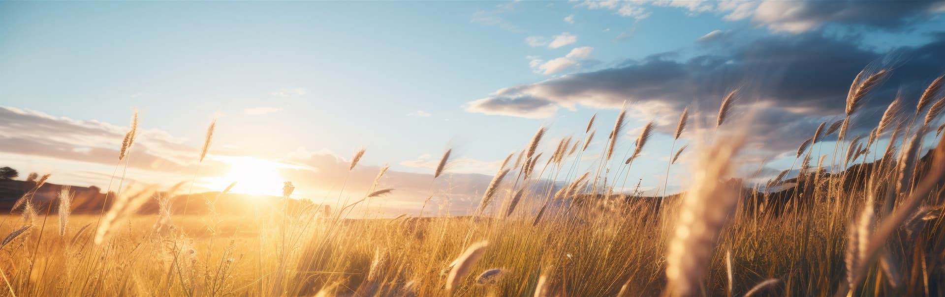 Obituary, Visitation & Funeral Information | Kevin Lee Nikel